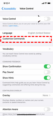 [100% Useful] How to Fix iPhone Voice Control Not Working